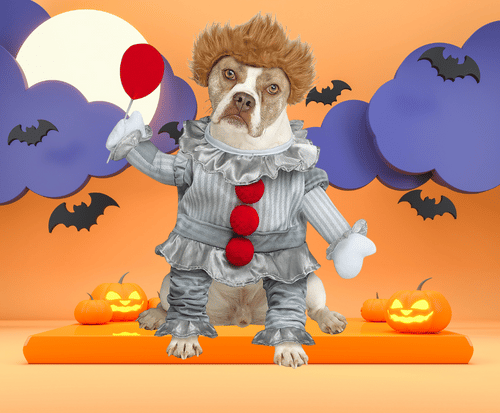 Super Funny Front Walking Halloween Costume Ideas for Dogs (And Puppies ...